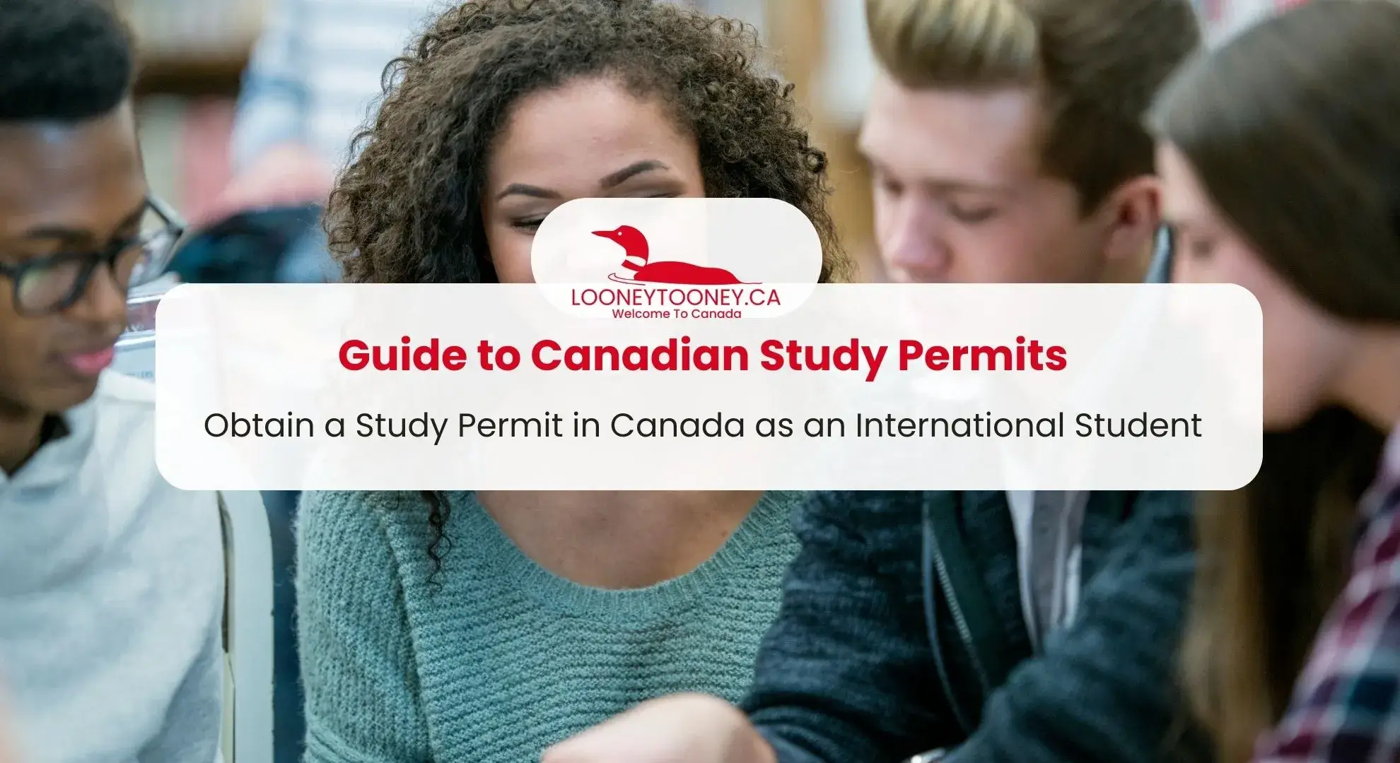 Canada Study Permit: Application Guide for International Students