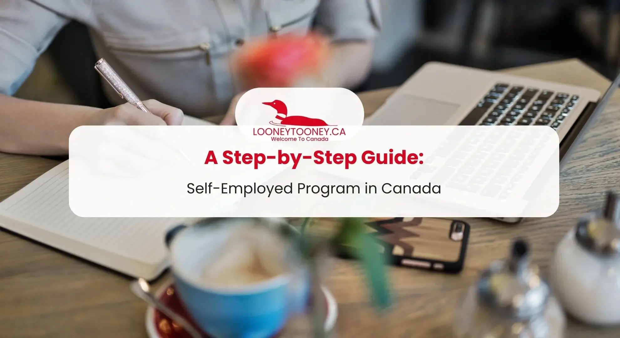 Self Employed Program: A Step-by-Step Guide to PR