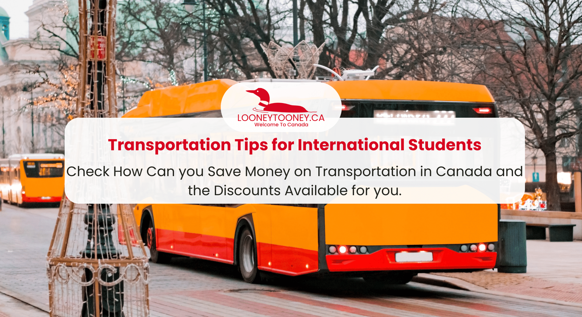 Transportation Tips for International Students in Canada
