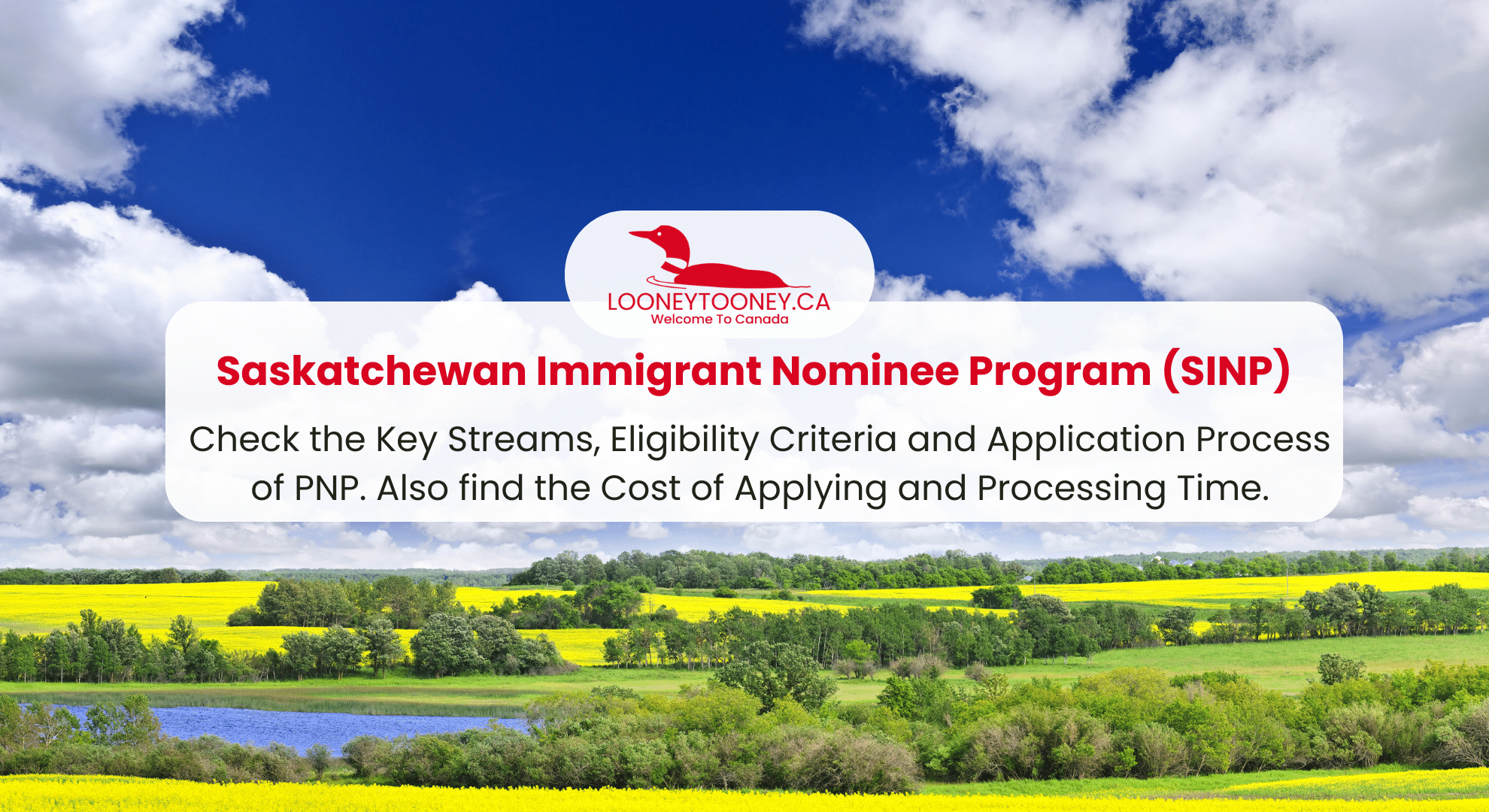 SINP: Saskatchewan Immigrant Nominee Program - LooneyTooney
