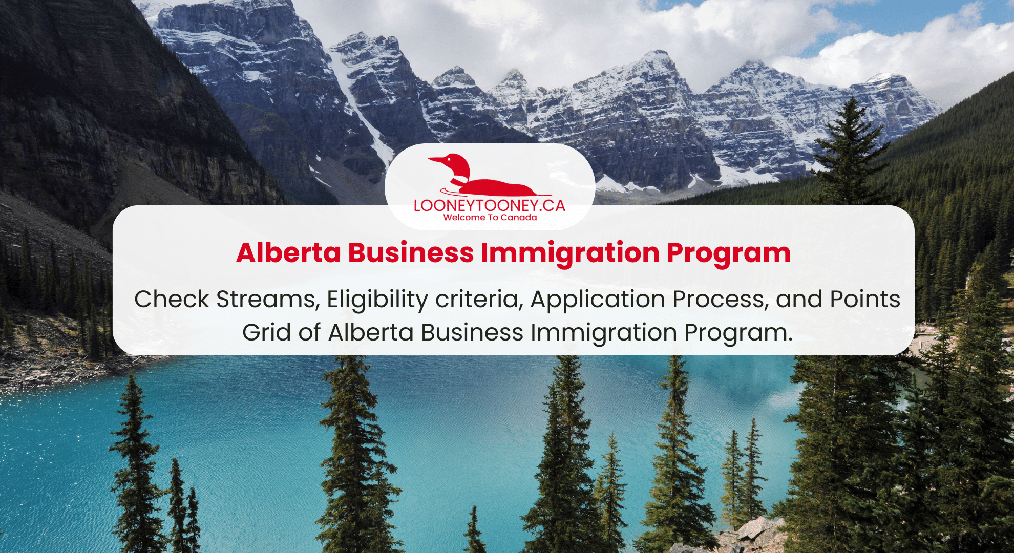 Alberta Business Immigration Program - LooneyTooney