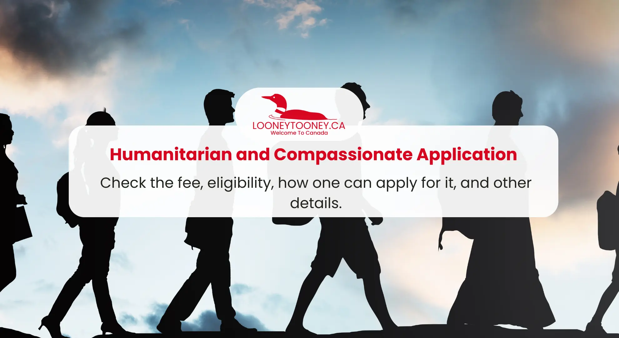 Humanitarian and Compassionate Application to Canada