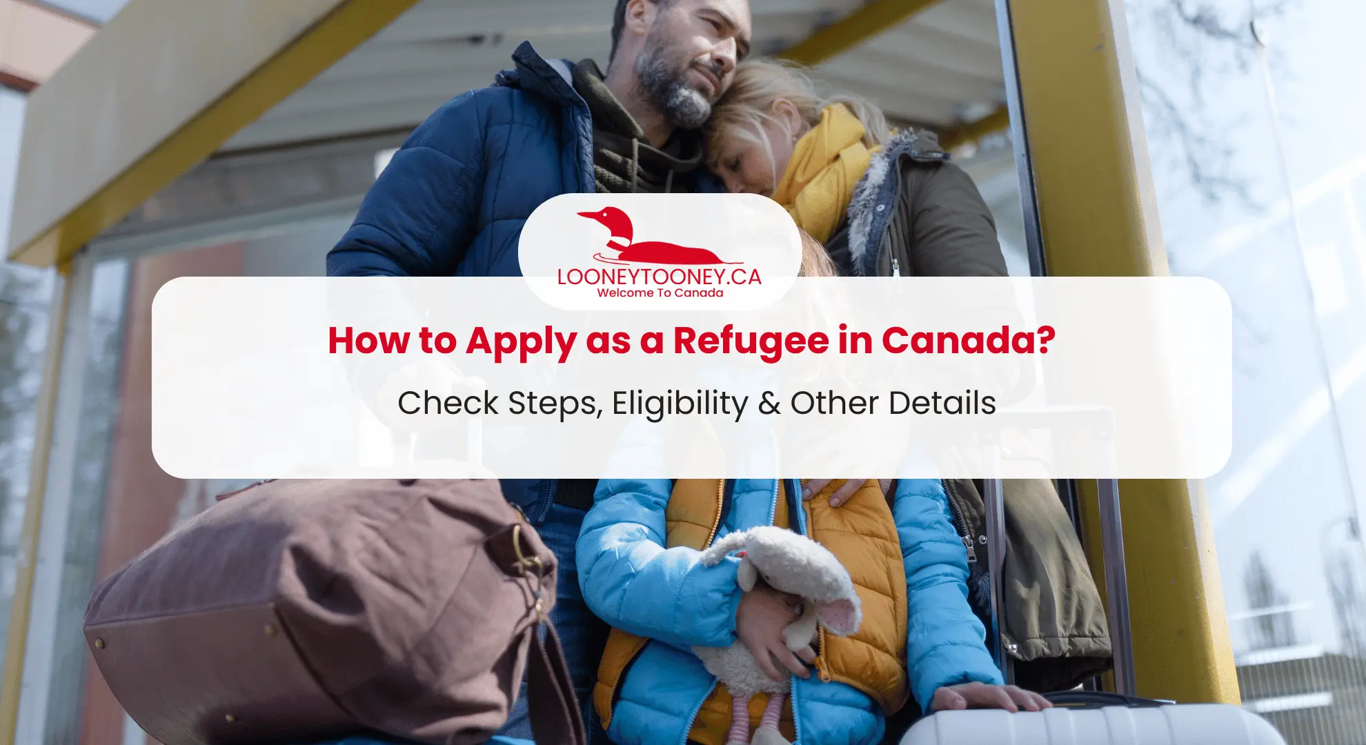 Refugee in Canada: Check Steps, Eligibility & Other Details