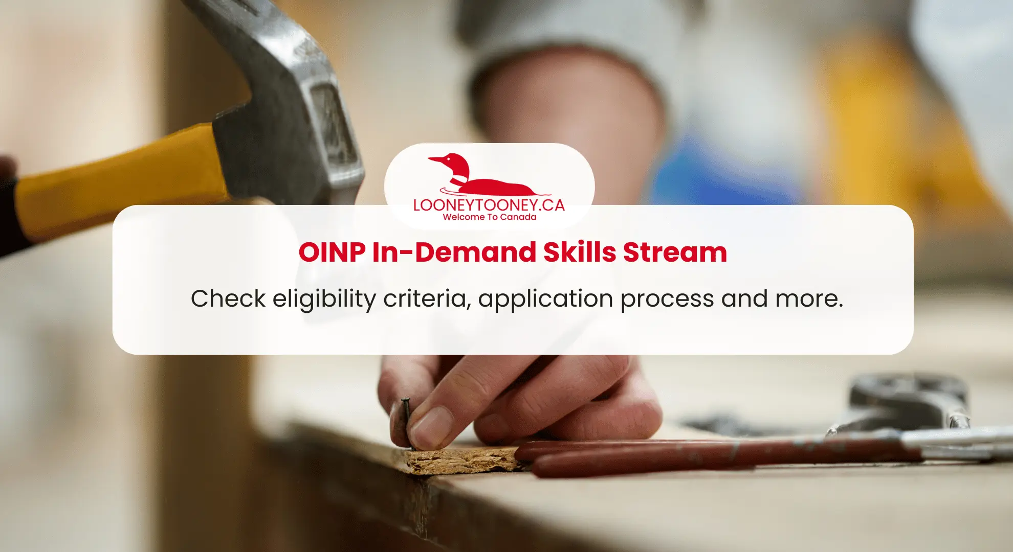 OINP In-Demand Skills Stream: Eligibility & More