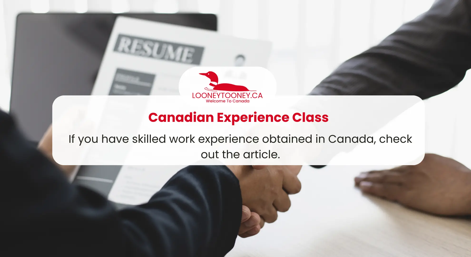 Get Details of the Canadian Experience Class - LooneyTooney