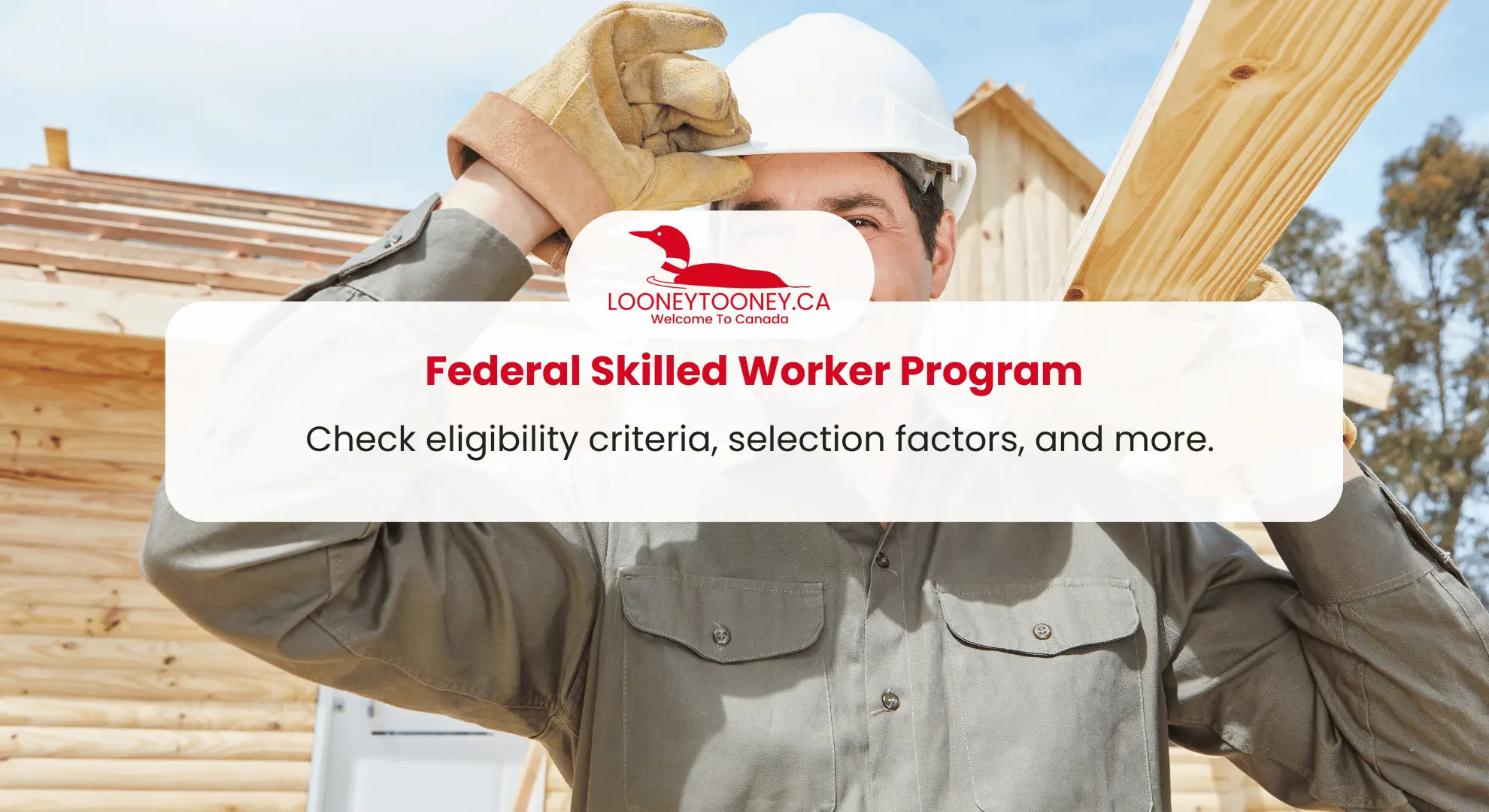 Federal Skilled Worker Program: Get Details Here