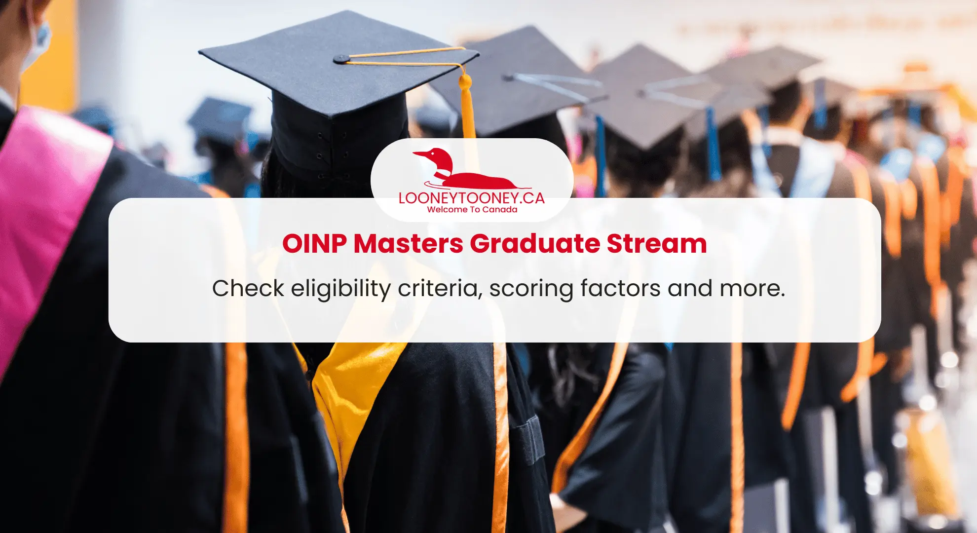 OINP Masters Graduate Stream- Eligibility and More