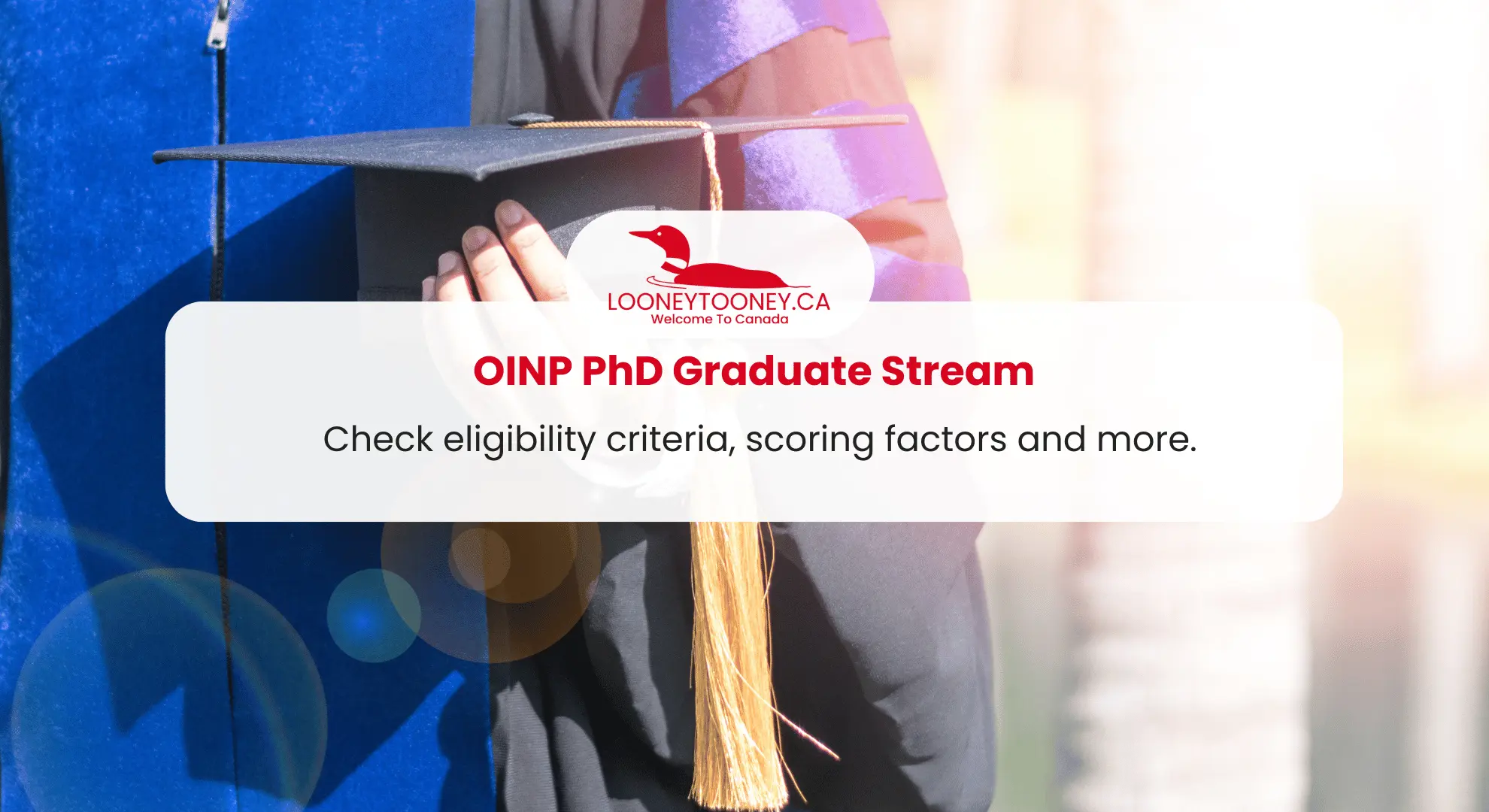 OINP PhD Graduate Stream- Check Details Here - LooneyTooney
