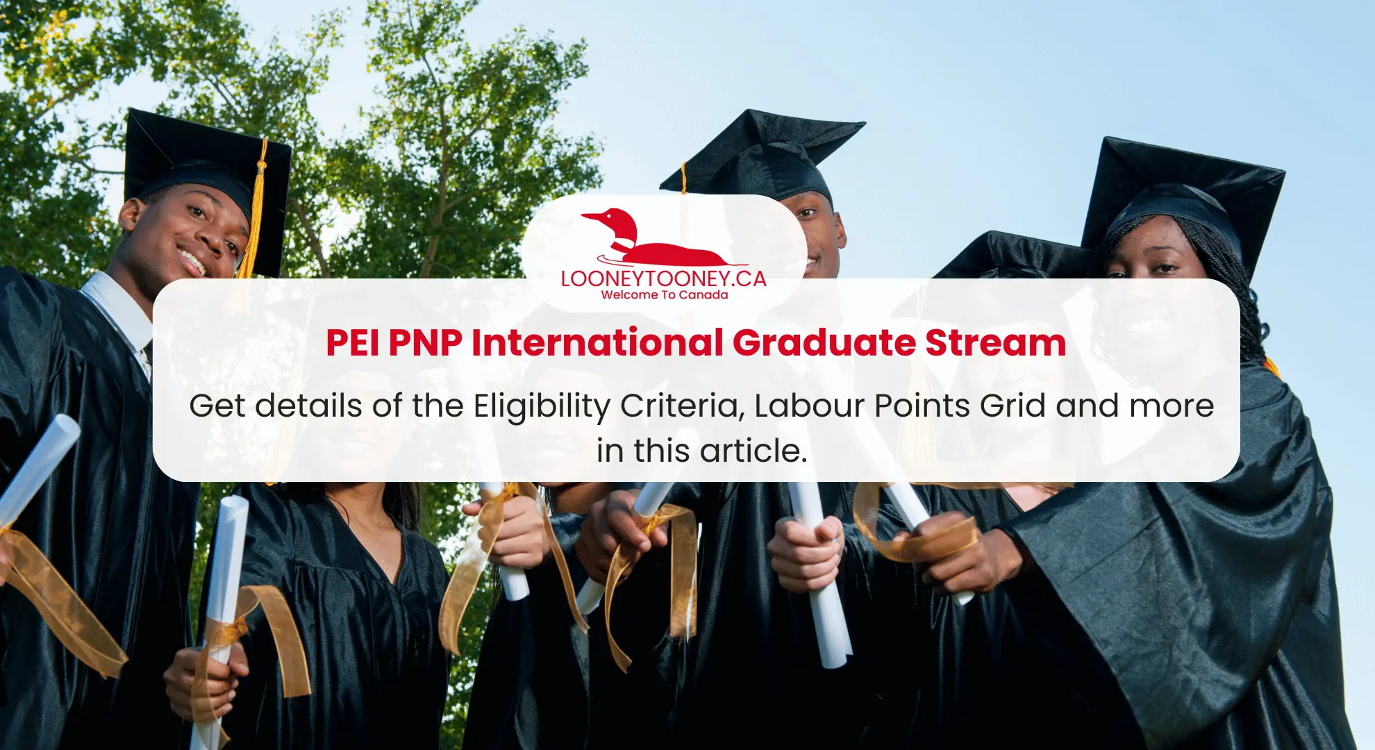 PEI PNP International Graduate Stream: Eligibility Criteria