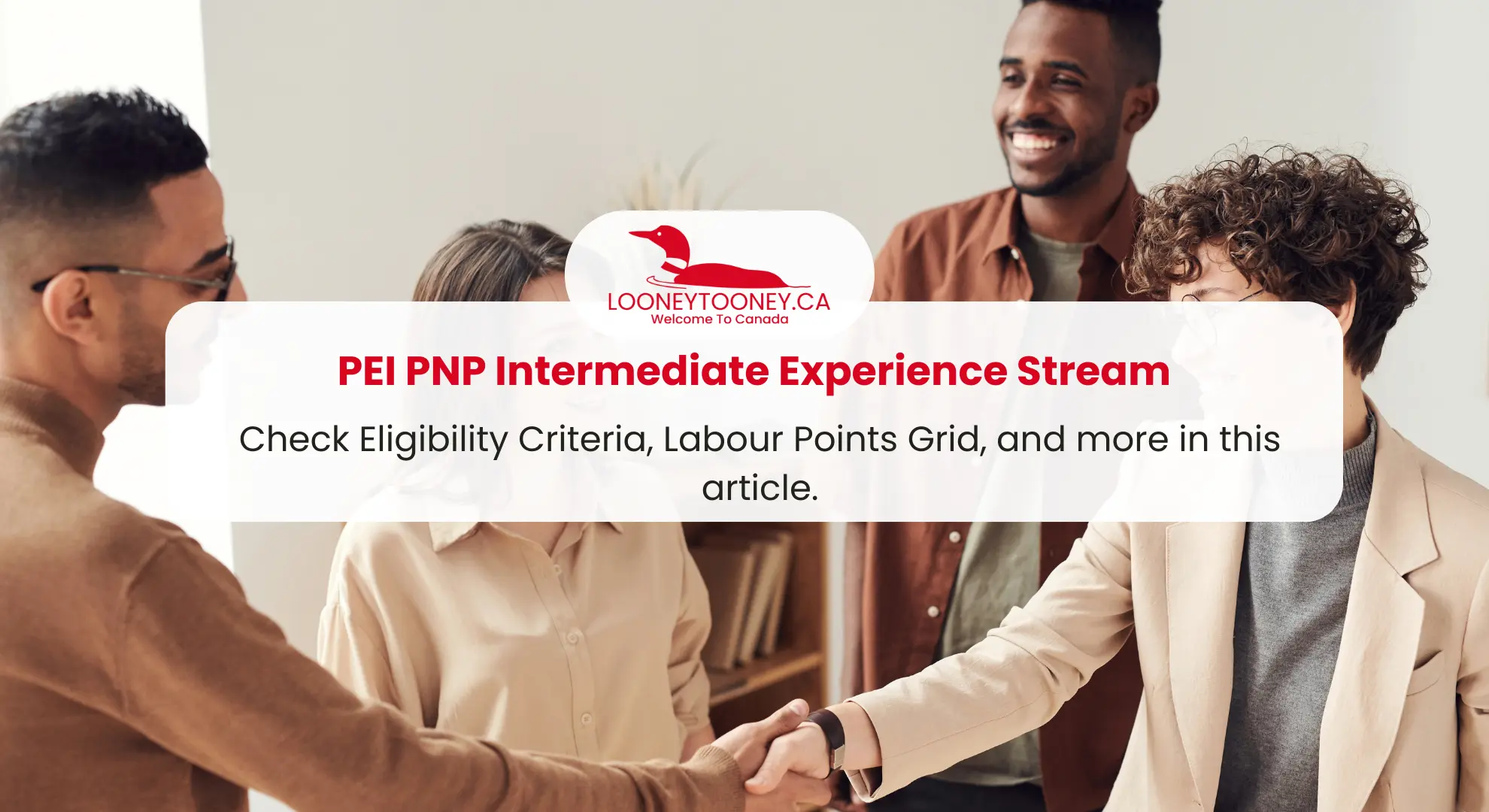 PEI PNP Intermediate Experience Stream: Get Details Here