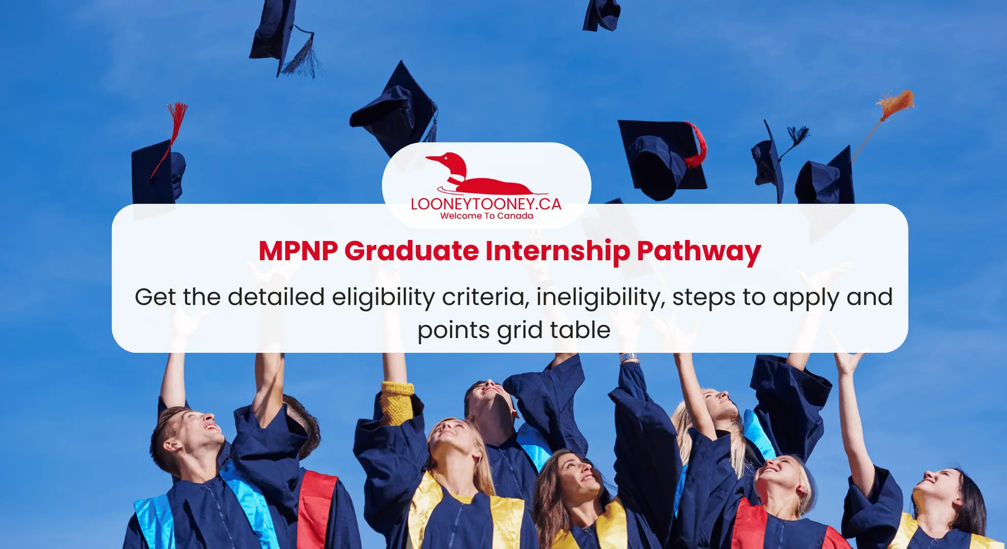 MPNP Graduate Internship Pathway- A Complete Guide