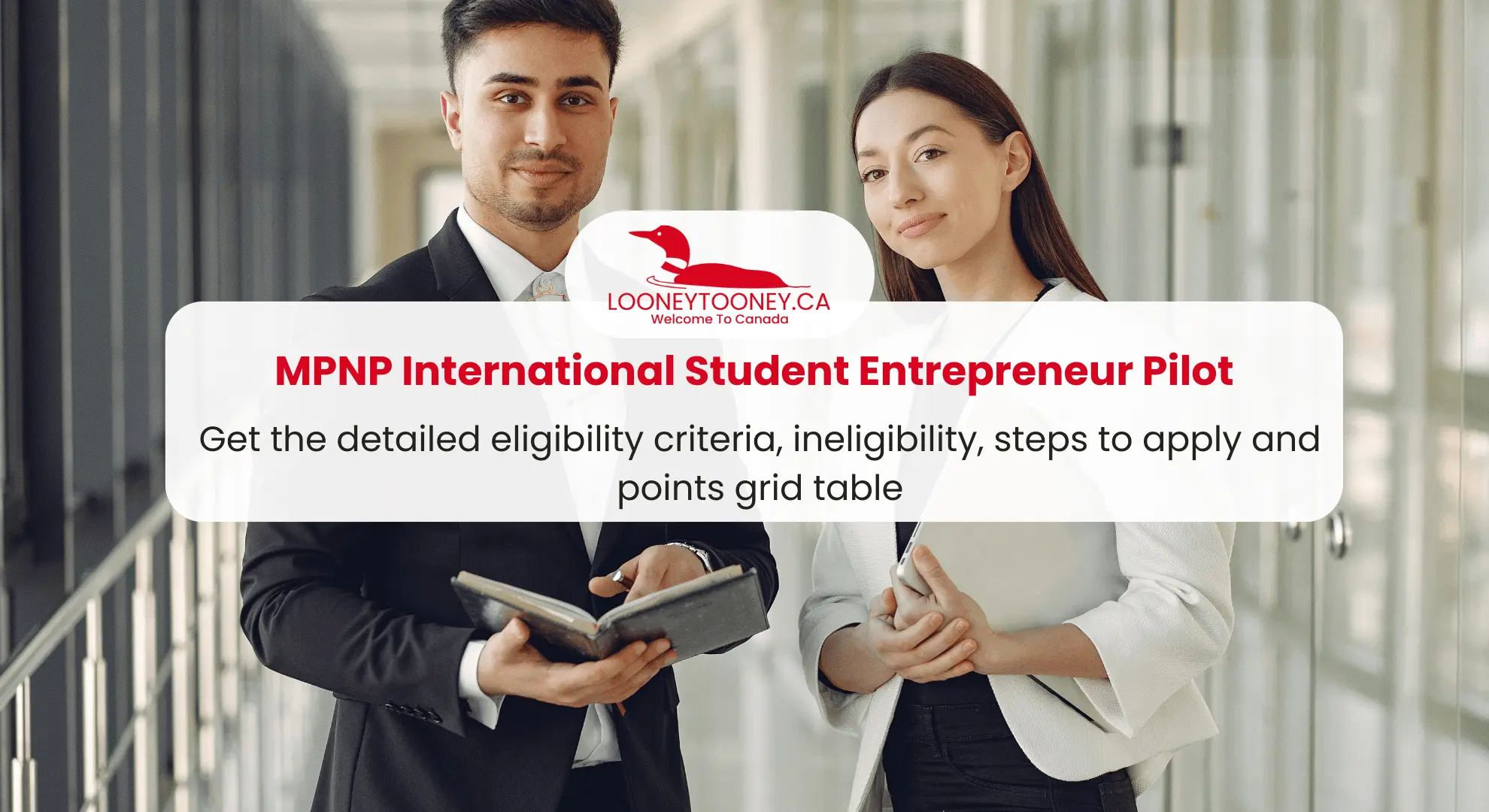 MPNP International Student Entrepreneur Pilot - LooneyTooney